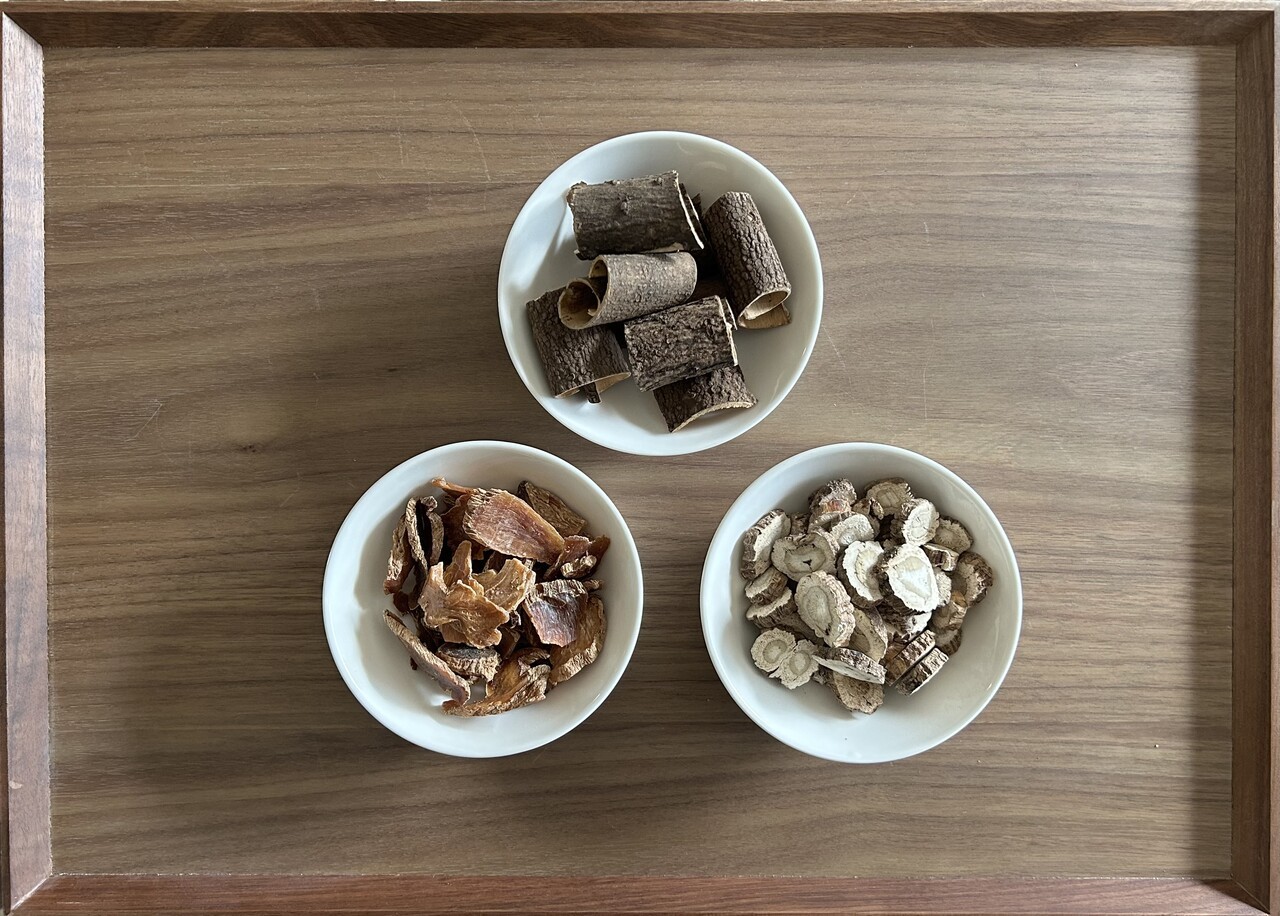 28.퇴행성 뇌질환 파킨슨병